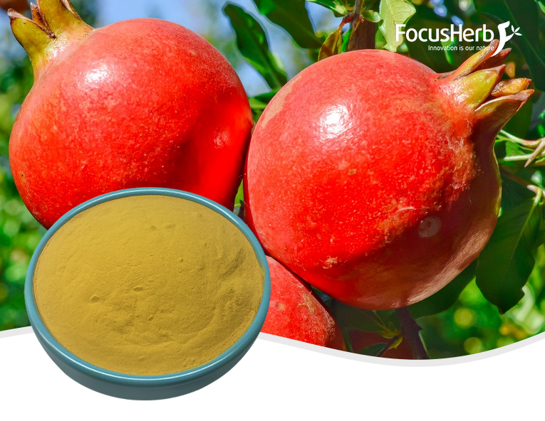 Punicalagin | Pomegranate Extract - FocusHerb