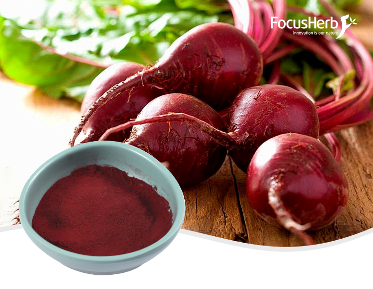 Beetroot Red | Natural Colorants - FocusHerb