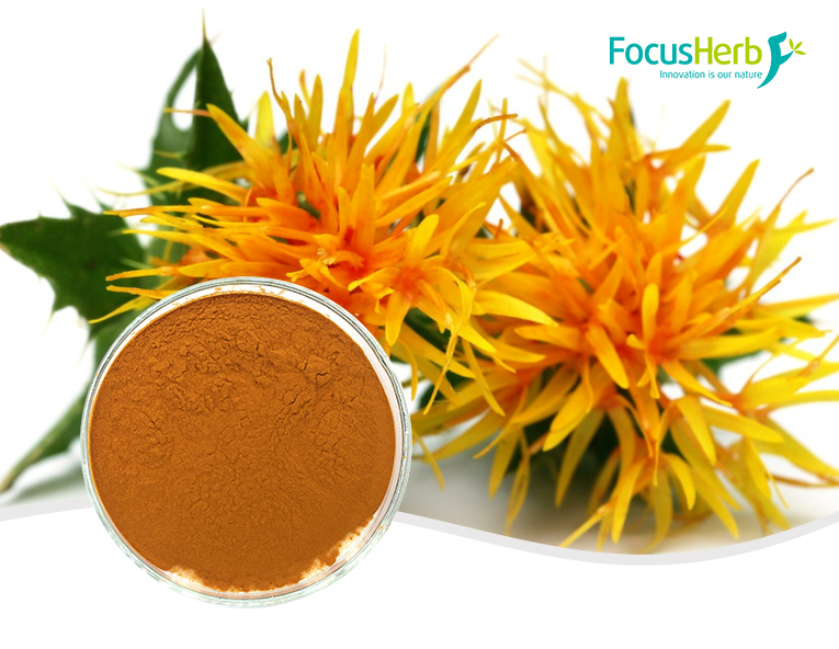 Carthamus Yellow | Natural Colorants - FocusHerb