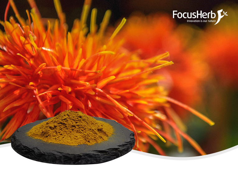 Carthamus Yellow | Natural Colorants - FocusHerb