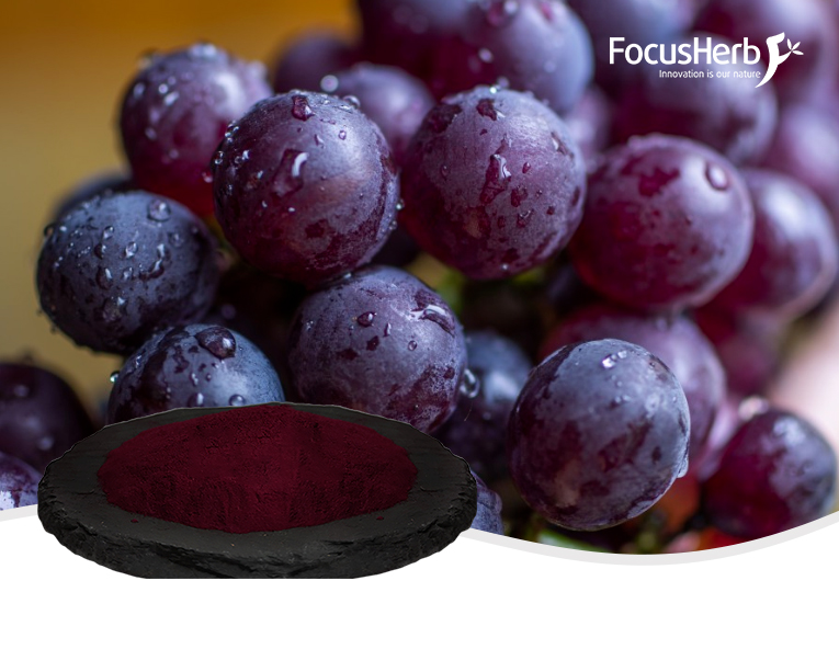 Grape Skin Red | Natural Colorants - FocusHerb
