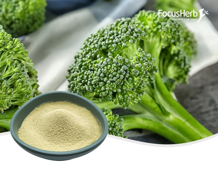 Broccoli Powder - FocusHerb