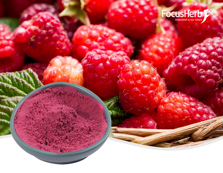 Raspberry Fruit Powder - FocusHerb