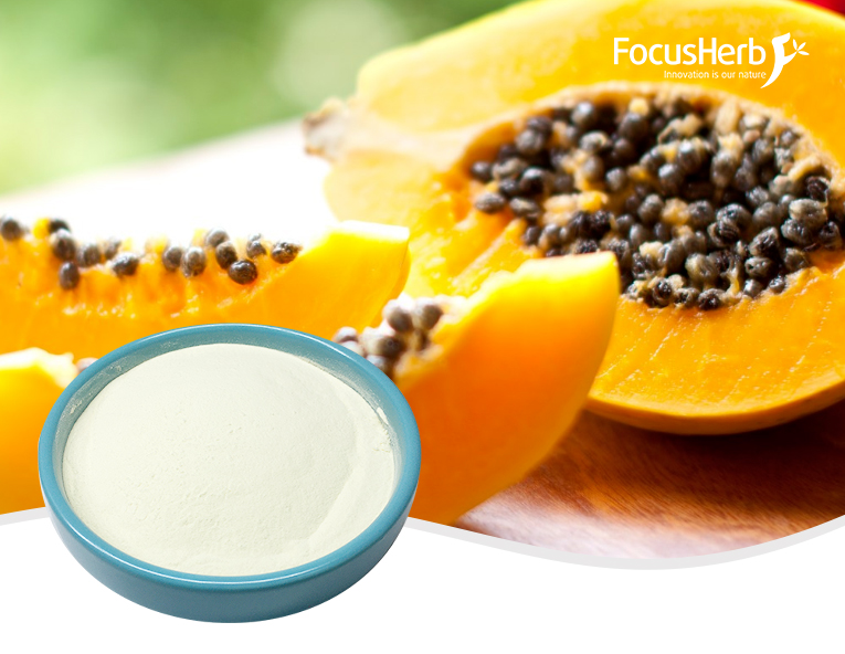 Papain: Health Benefits, Side Effects, Uses - FocusHerb