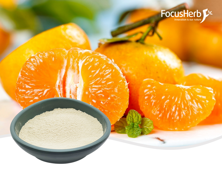 Benefit, Function And Application Of Citrus Pectin - FocusHerb