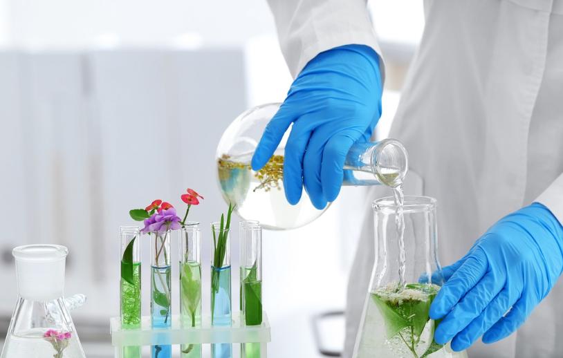 The Power of Plant Extracts: Why They Are Important For Your Health ...