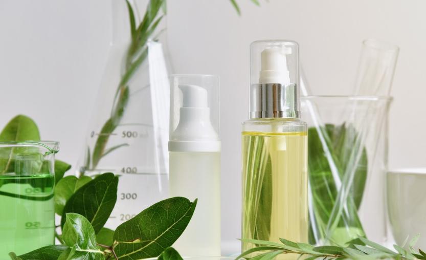 The Power of Plant Extracts: Why They Are Important For Your Health ...