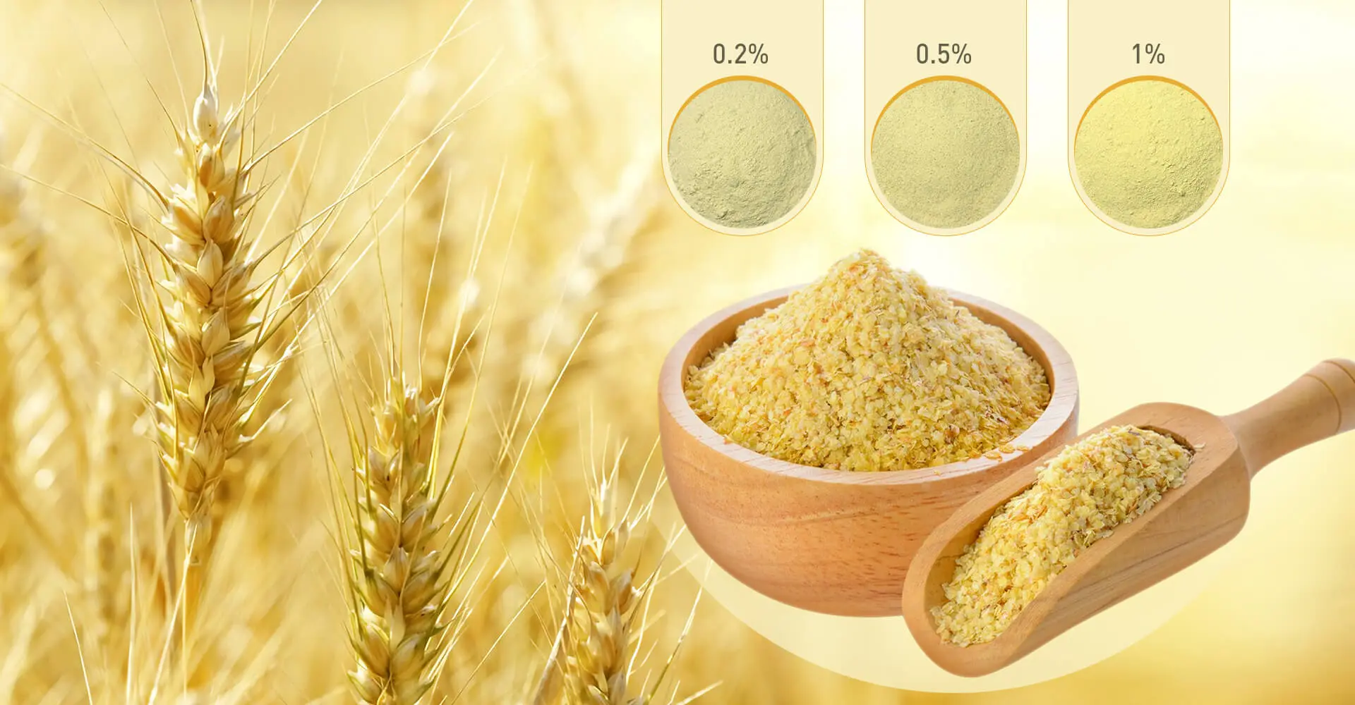 Innovative Natural Plant Extract Supplier - Focusherb