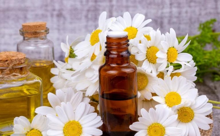 The Benefits of Various Essential Oils and Extracts For Skin Care ...