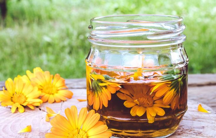 The Benefits of Various Essential Oils and Extracts For Skin Care ...