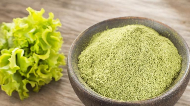 The Many Health Benefits of Kale: A Super Powder - FocusHerb