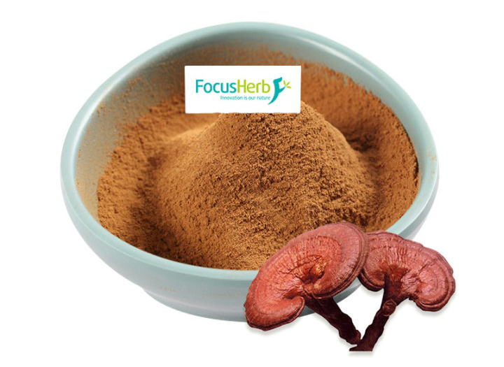 The Health Benefits of Reishi Mushroom Extract - FocusHerb