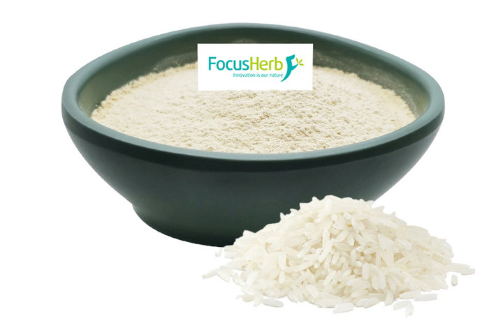 Organic Rice Protein Powder - FocusHerb