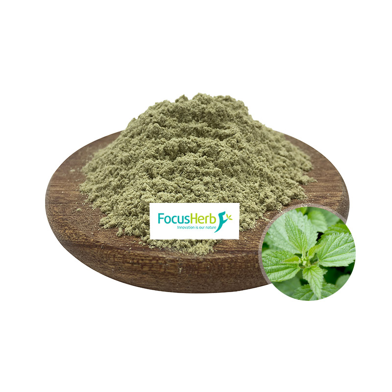 Organic Nettle Leaf Powder - FocusHerb