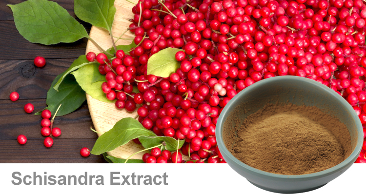 Organic Schisandra chinensis Berry Powder - FocusHerb