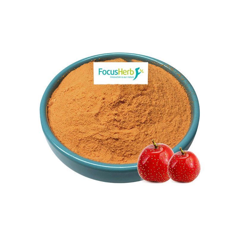 Hawthorn fruit Powder - FocusHerb
