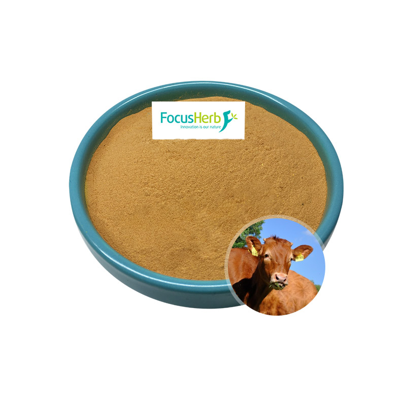 Bovine Pituitary Powder - FocusHerb