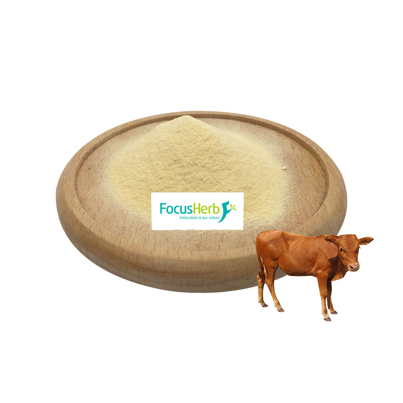 Bovine Spinal Cord Powder - FocusHerb