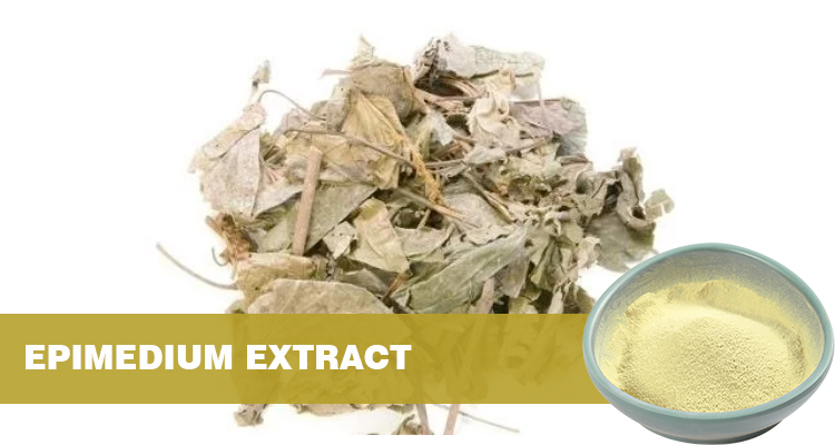 Icariin: An In-Depth Exploration of its Benefits, Uses, and Safety ...