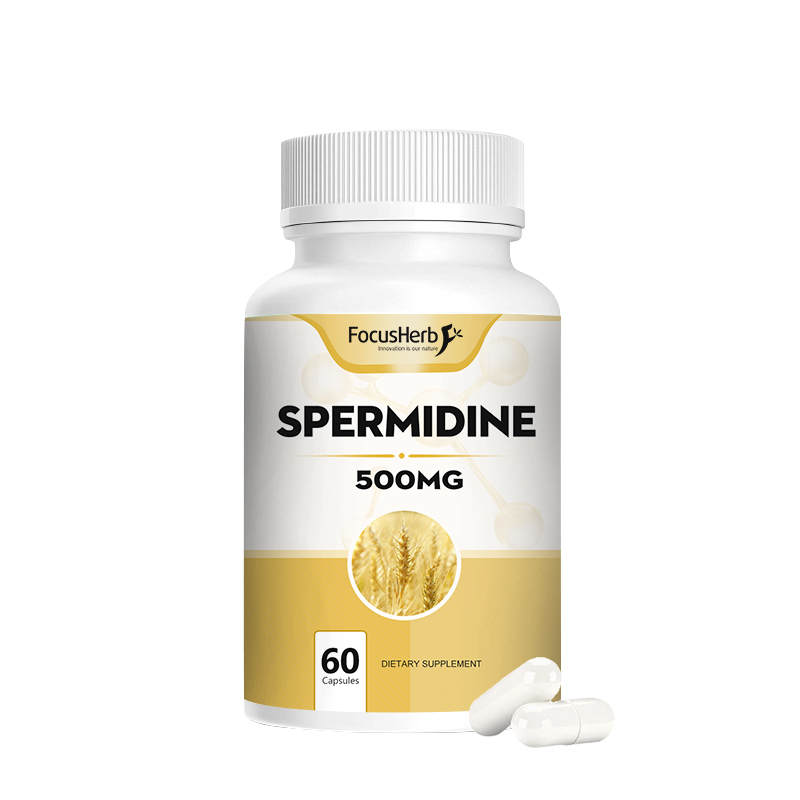 Spermidine: A mysterious polyamine in life - FocusHerb