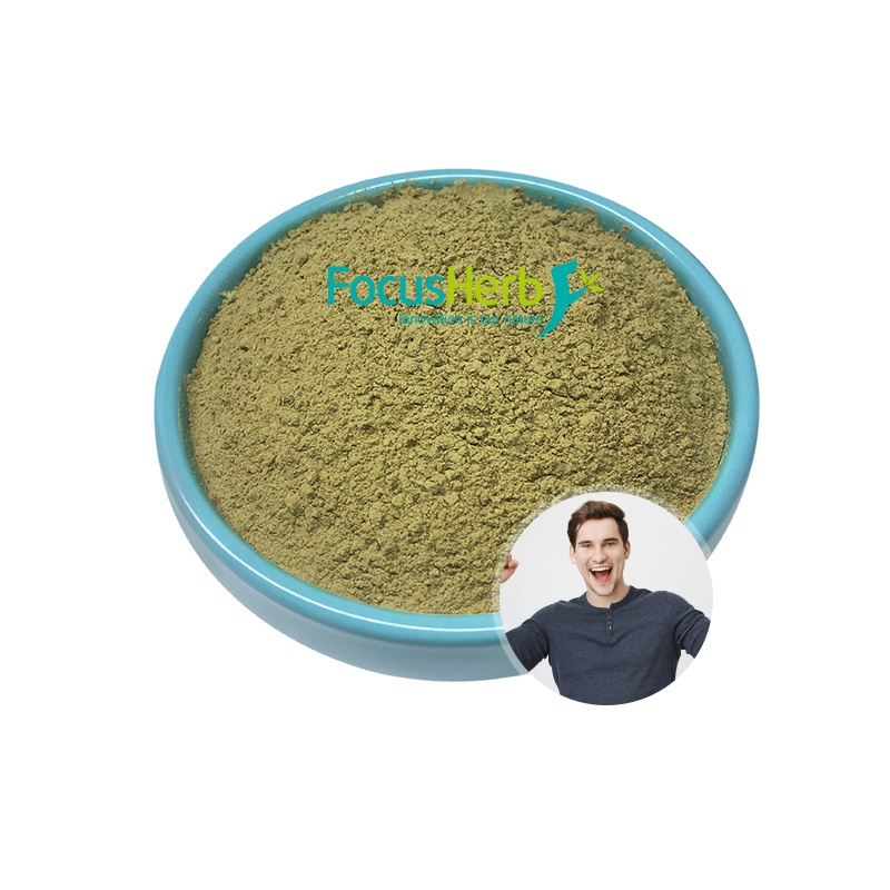 Orthosiphon Powder - FocusHerb