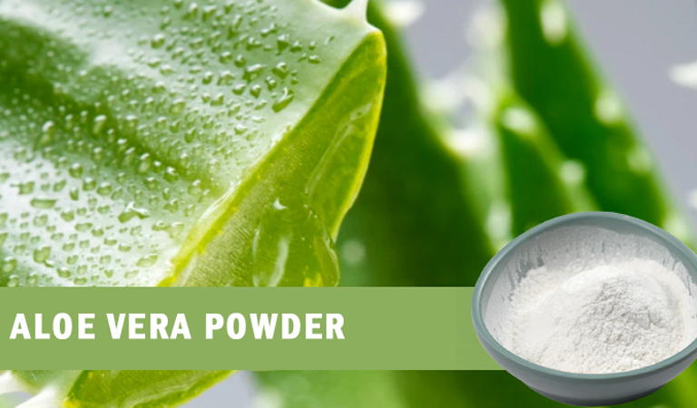 The Science Behind Aloe Powder: Nutrients & Healing Properties - FocusHerb