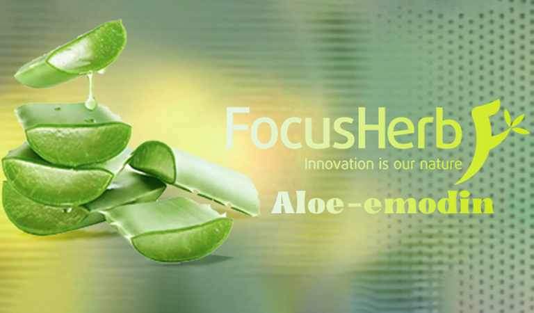 Aloe-emodin: Nature’s Hidden Anthraquinone with Powerful Potential ...