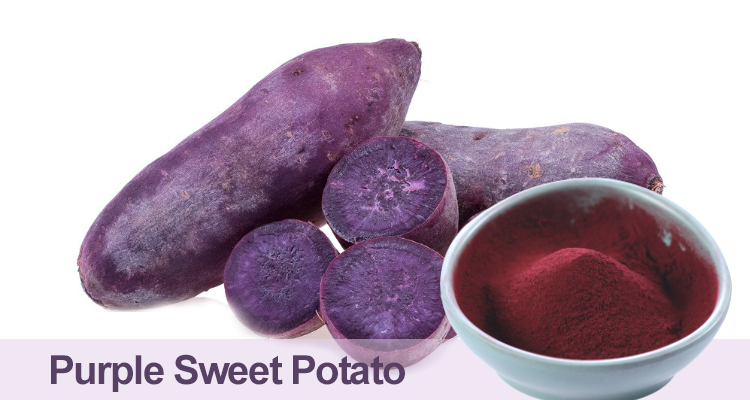 Purple Sweet Potato Color: Nature's "color treasures" hidden ...