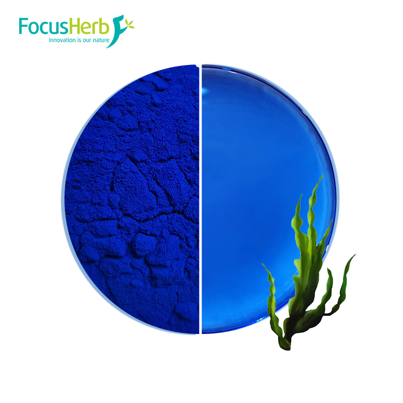 Phycocyanin: Nature's Blue Treasure - FocusHerb