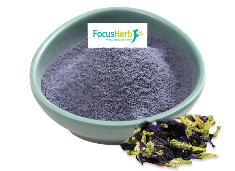 Why Butterfly Pea Flower Powder Is the Superfood You Need? - FocusHerb