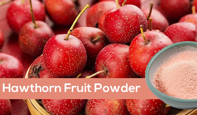 Why Hawthorn Powder Is Gaining Popularity in Natural Medicine? - FocusHerb
