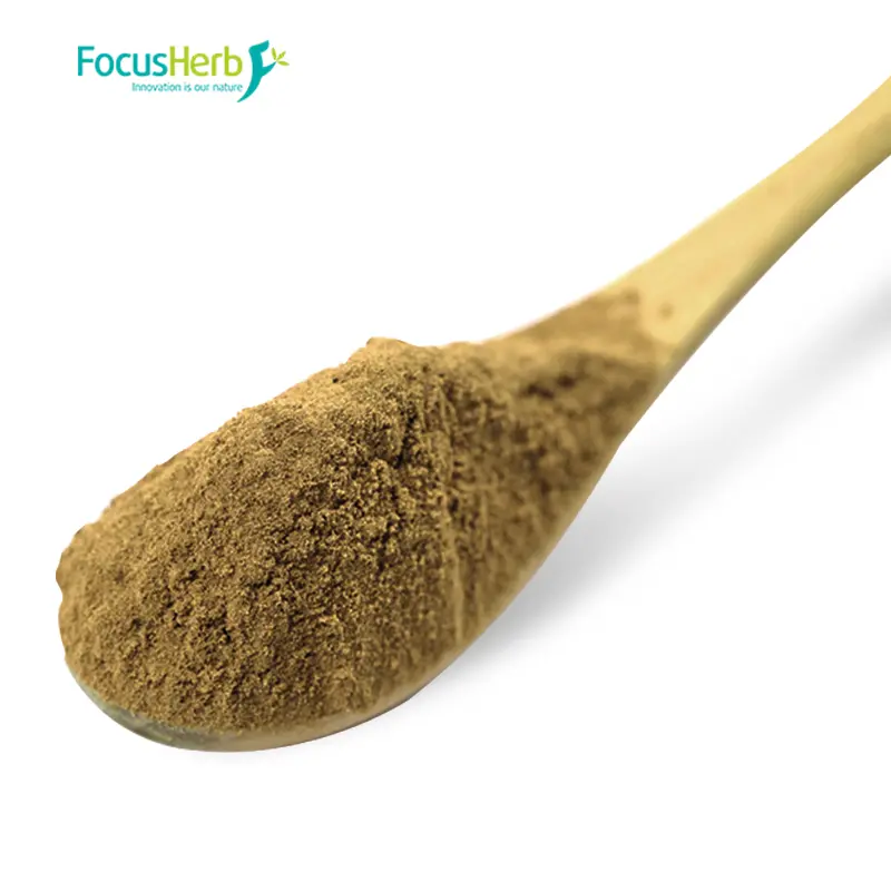 Thymoquinone: From Natural Active Ingredient to Innovative Applications ...