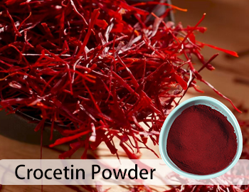 Crocin: A natural active ingredient from molecular structure to diverse ...