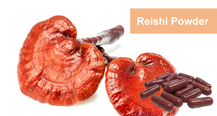 Organic Reishi Powder: A natural regulator that restores immune balance ...