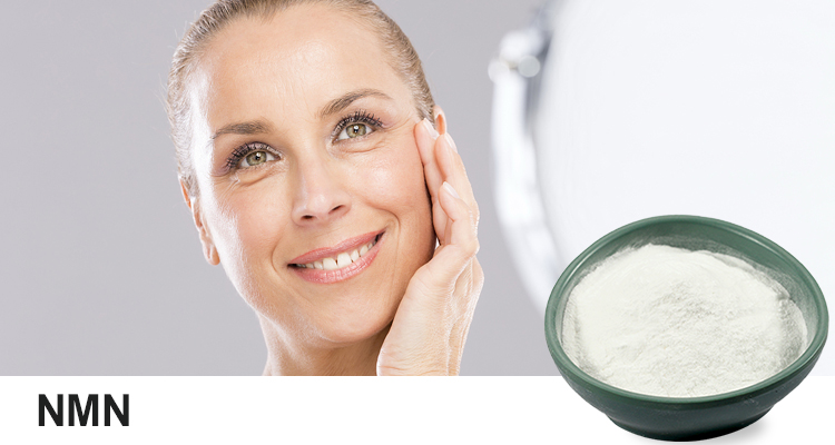 NMN: Scientific Analysis from Molecular Mechanism to Anti-Aging ...