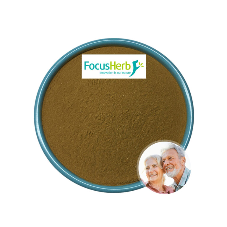 Freeze-Dried vs Spray-Dried Beef Heart Powder: Which Is Better for ...